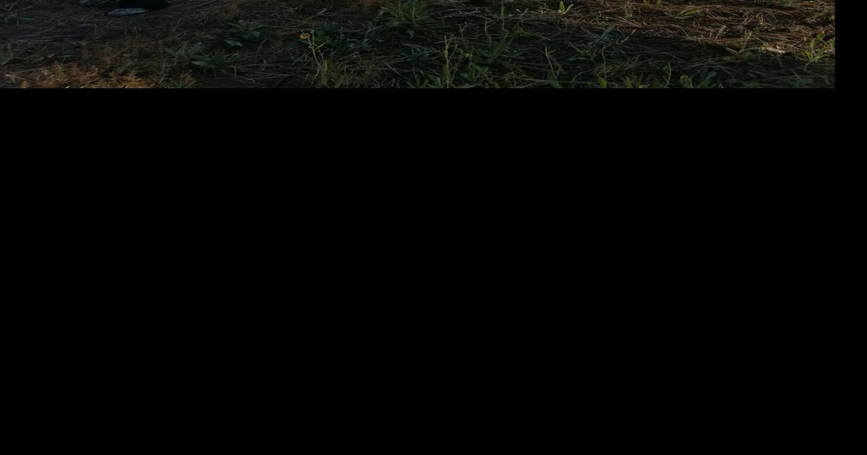 Women in Wildland Fire Boot Camp 2018 | Apache County | wmicentral.com