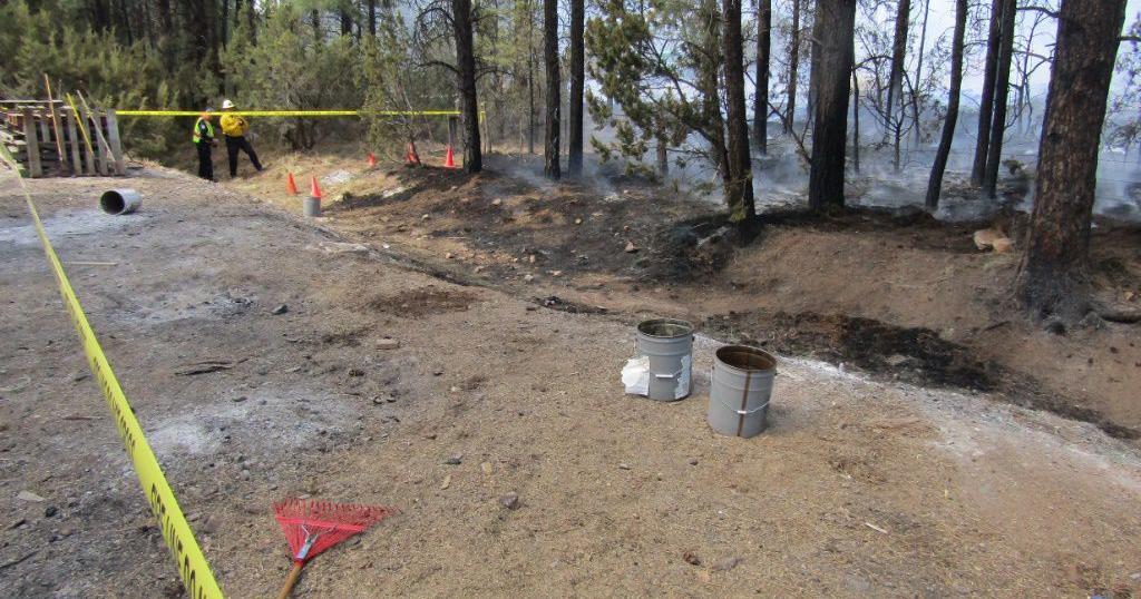 Hot ashes on pine needles nearly leads to wildfire in Heber | Latest ...