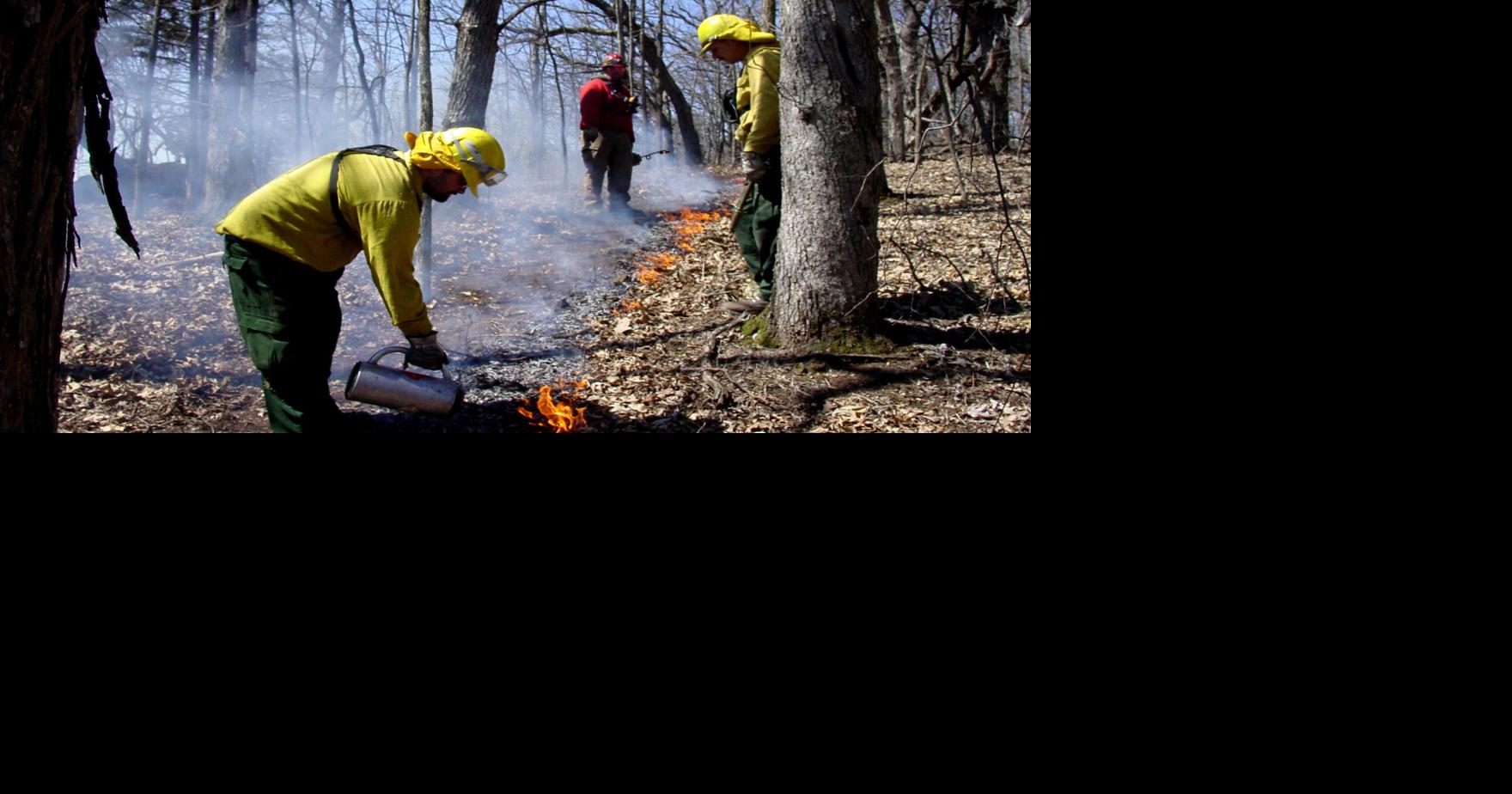 Alpine Ranger District begins prescribed burn in Wallow West Unit ...