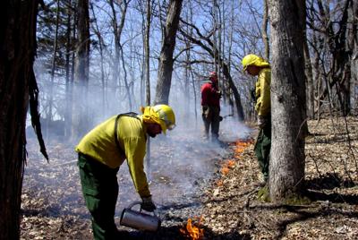 Alpine Ranger District begins prescribed burn in Wallow West Unit ...