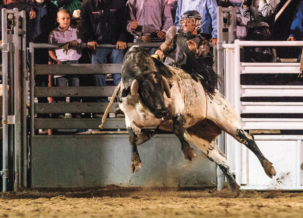 Snowflake Pioneer Days Rodeo | Local Sports | wmicentral.com