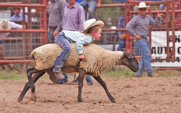 Luna Rodeo Orona, Hulseys top wild cow riders for yet another year ...