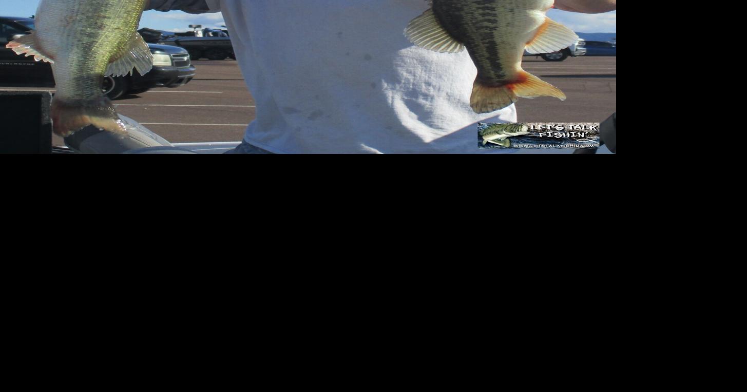 Show Low team win Let's Talk Fishin' Bass Tourney | Sports | wmicentral.com