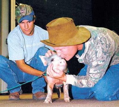 'Kiss the pig' | Latest News | wmicentral.com