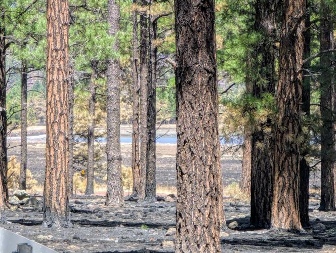 Greer fire fully contained, but recovery just beginning | News ...