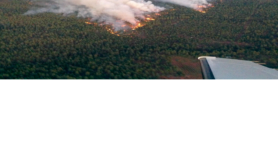 Crews wrapping up work on Fulton Fire | Heber/Overgaard | wmicentral.com