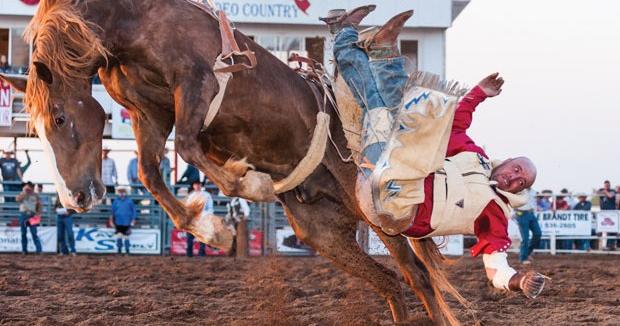 Taylor riders win bareback titles | Local Sports | wmicentral.com