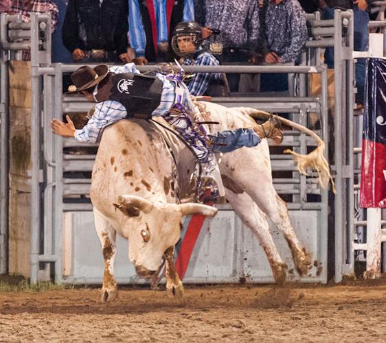 Snowflake Pioneer Days Rodeo | Local Sports | wmicentral.com