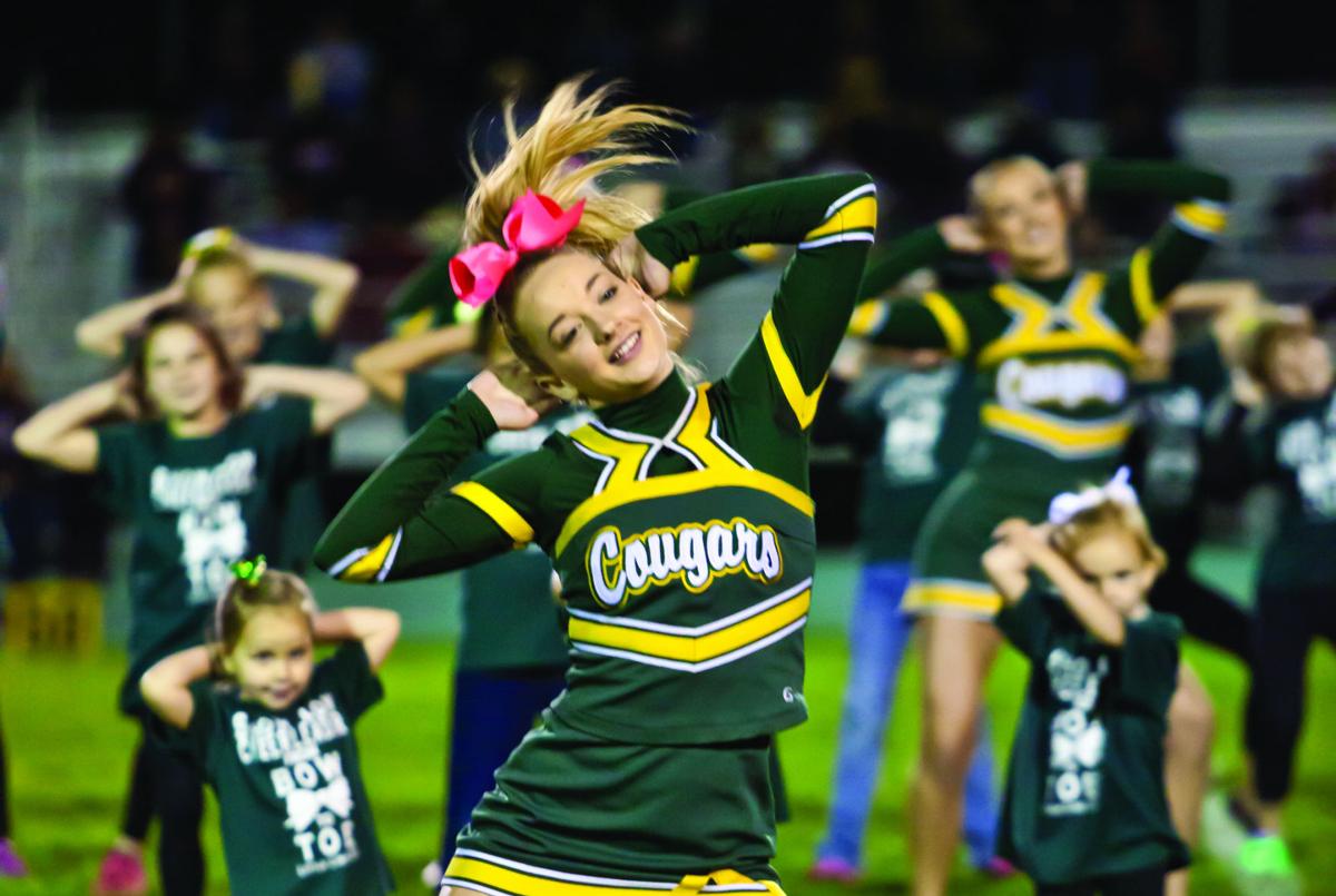Little Line cheer on the Cougars | News | wmicentral.com