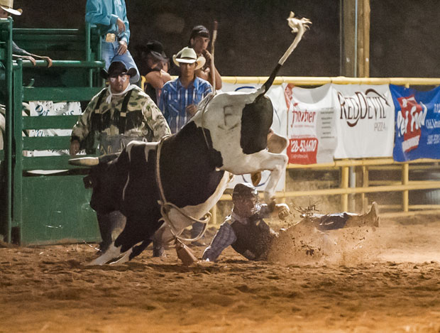 Taylor riders win bareback titles | Local Sports | wmicentral.com