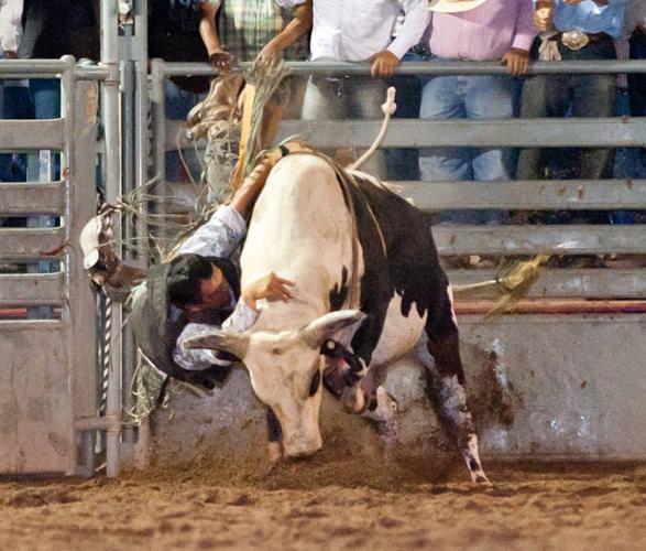 Rodeos Rock the Fourth | Multimedia | wmicentral.com