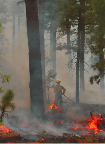 Elk Fire reaches 1,887 acres | Latest News | wmicentral.com