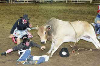 Taylor Rodeo thrills thousands | Local Sports | wmicentral.com