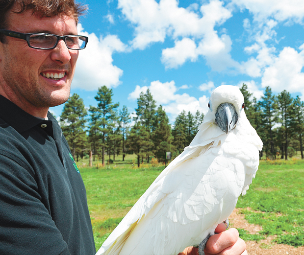 Parrots, turtles and alligators, oh my! | Recreation | wmicentral.com