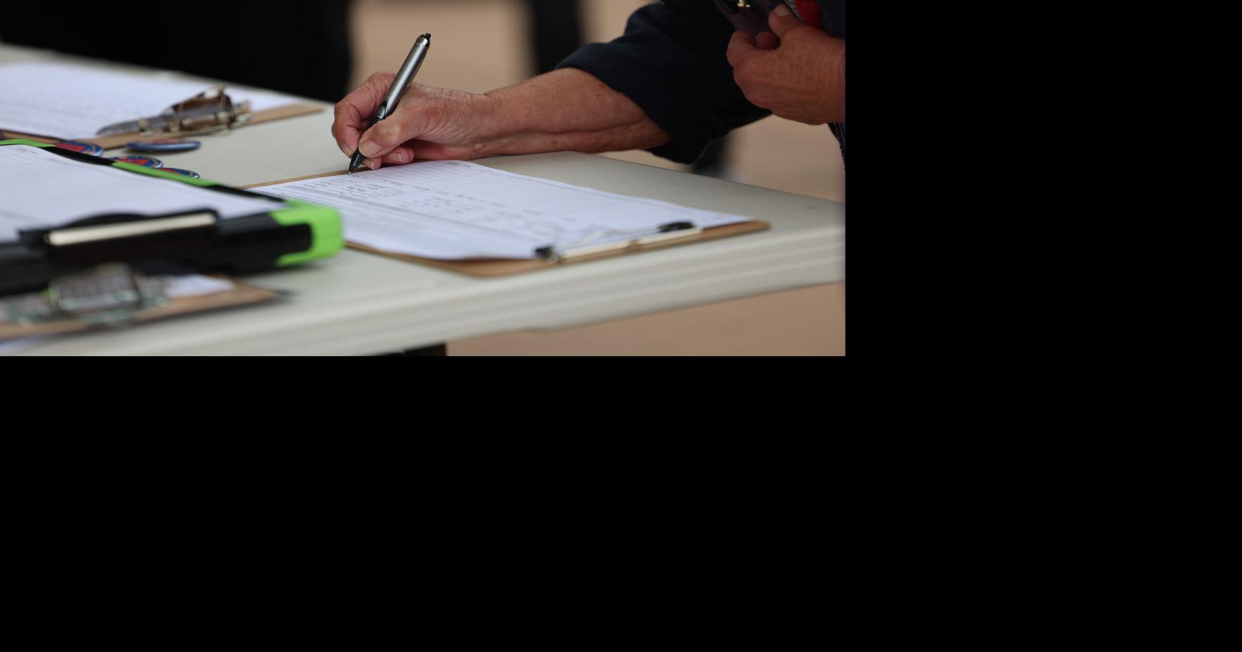 New website lets voters voice ballot arguments | News | wmicentral.com