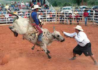 Steah's Bull Riding Challenge - Leron Wesley scores 79 to win Open ...