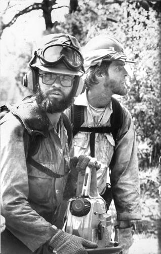 Forest Service launches ambitious effort to restore Dude Fire scar ...