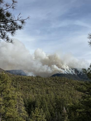 Navajo and Apache counties still in Stage 1 fire restrictions | News ...