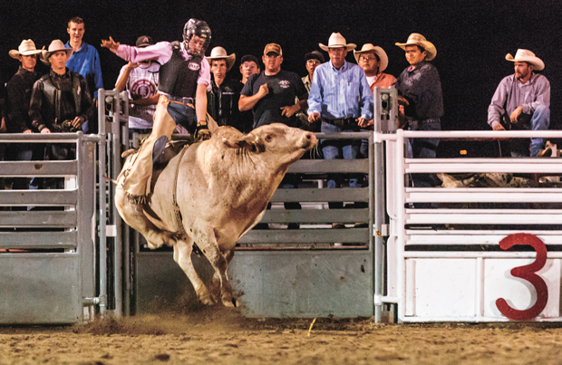 Snowflake Pioneer Days Rodeo | Local Sports | wmicentral.com
