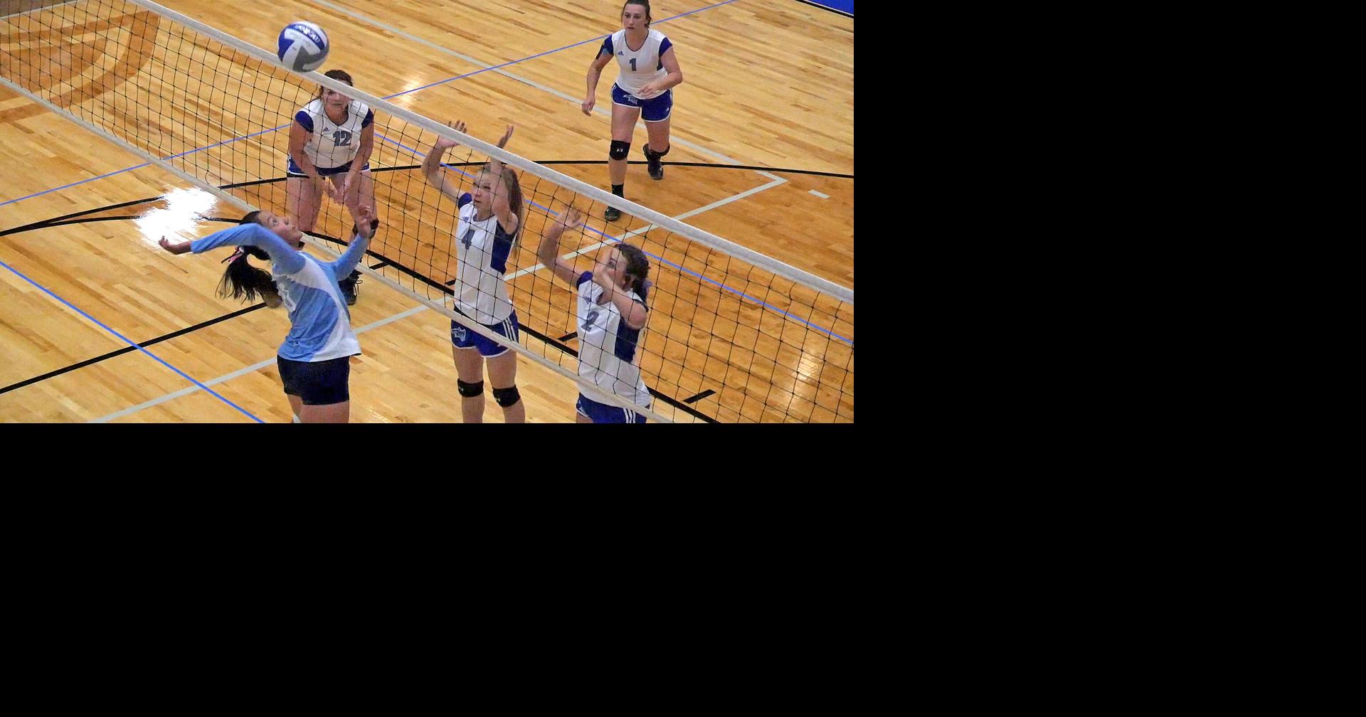 Lobo spikers 2nd in Snowflake Invitational | Local Sports | wmicentral.com