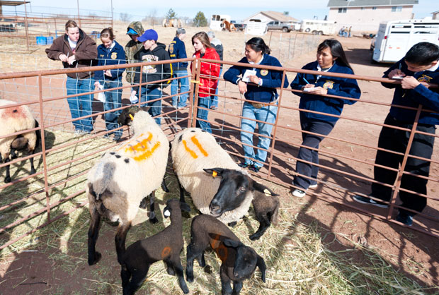 FFA Northern District Competition | Multimedia | wmicentral.com