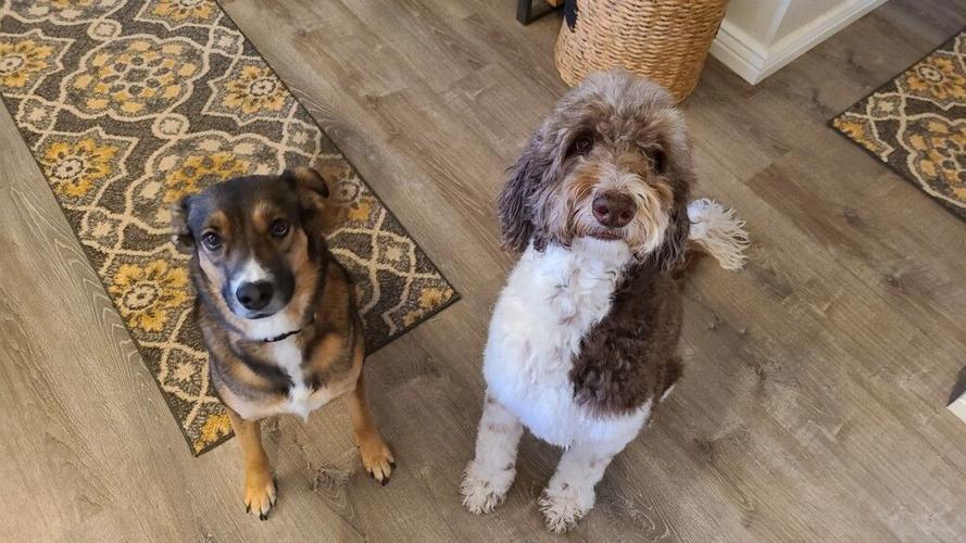 Holiday market, local music set for Black Friday | News | wmicentral.com