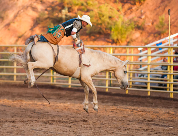 Taylor riders win bareback titles | Local Sports | wmicentral.com