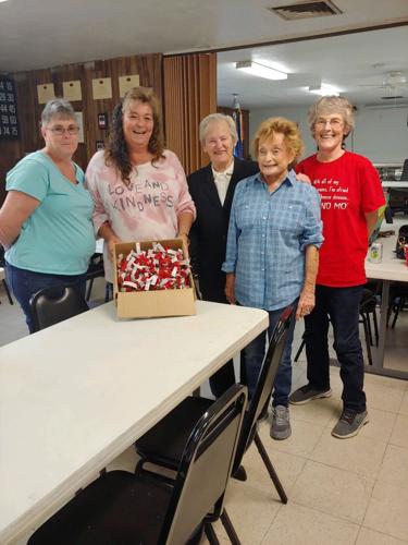 Veterans Day and the buddy poppy | Latest News | wmicentral.com