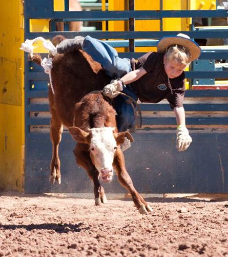 Ride 'em Little Buckaroos - Navajo County Fair | Multimedia ...