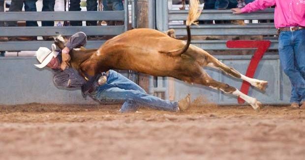Snowflake Rodeo 2011 | Multimedia | wmicentral.com