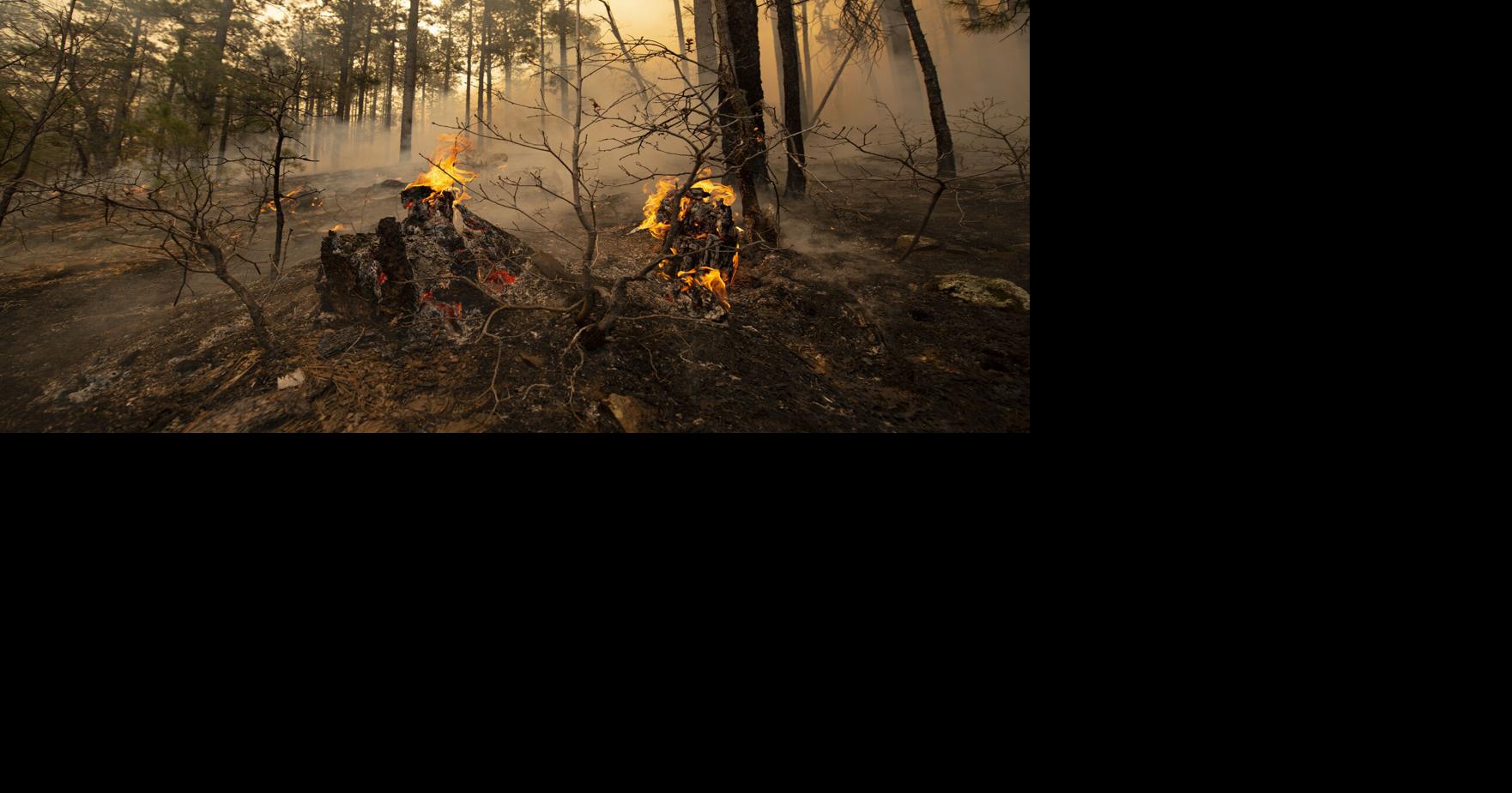 Apache, Navajo managed the forest with fire | Fire Season | wmicentral.com