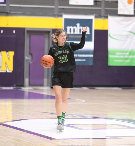 Wilson sisters key to Show Low success on court, pitch, track | Sports ...