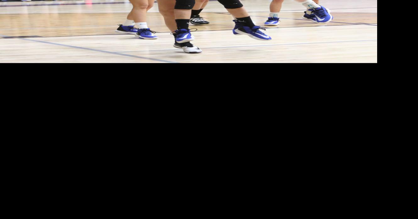 St. Johns, Mogollon girls and Alchesay, Snowflake boys lead region hoops races as playoffs ...