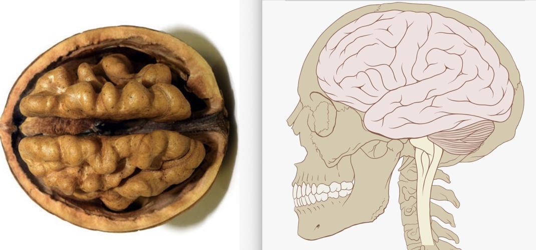 Good foods look like you | Community Beat | wmicentral.com