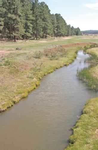 Show Low Bluff Trail opens to the public | Local Sports | wmicentral.com