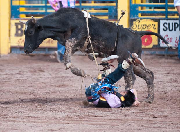 Lil Buckaroo Rodeo | Latest News | wmicentral.com