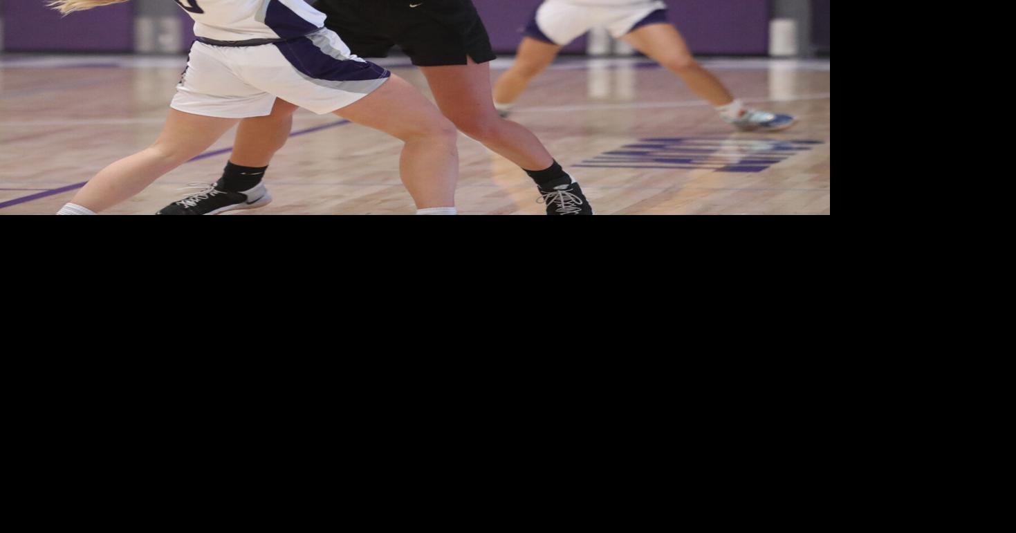 Snowflake, Show Low reap girls basketball accolades | Sports ...