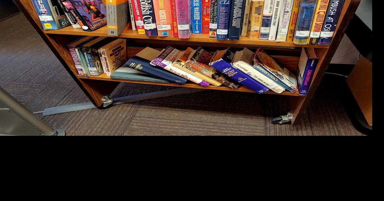 Republicans push to ban certain books in school libraries | News ...