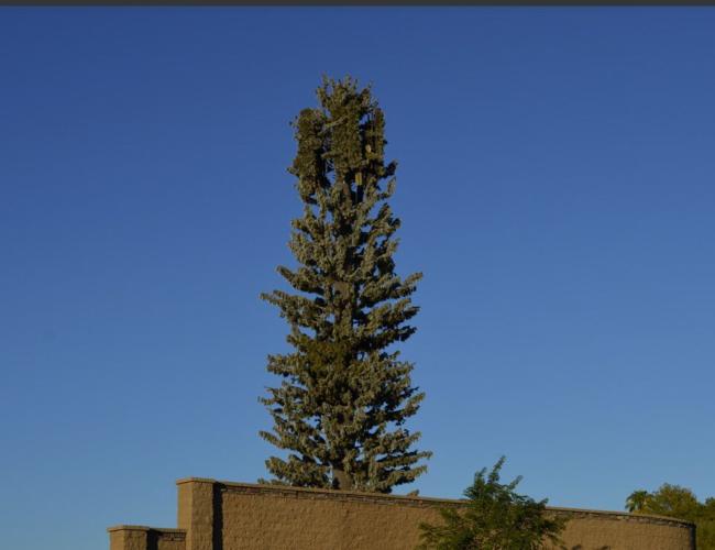 Cell tower permit approved after fourth meeting | Latest News ...