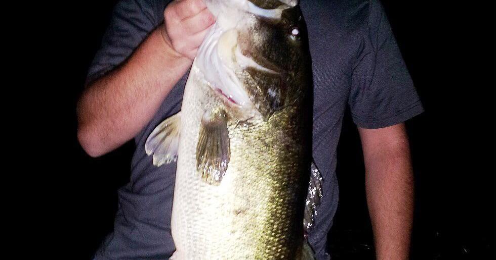 Doug Slade | Latest Obituaries | wmicentral.com