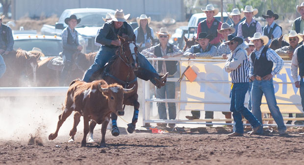 Pick-up man | Latest News | wmicentral.com