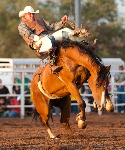 Rodeos Rock the Fourth | Multimedia | wmicentral.com