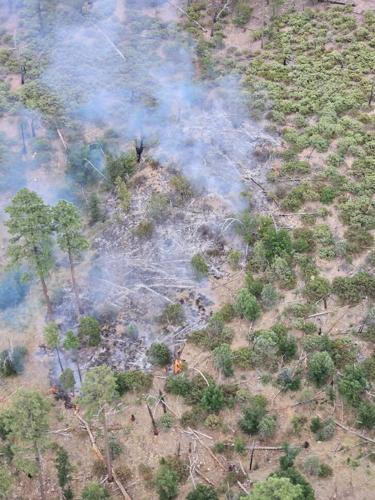 Wildfires burning in multiple locations in Navajo and Apache counties ...