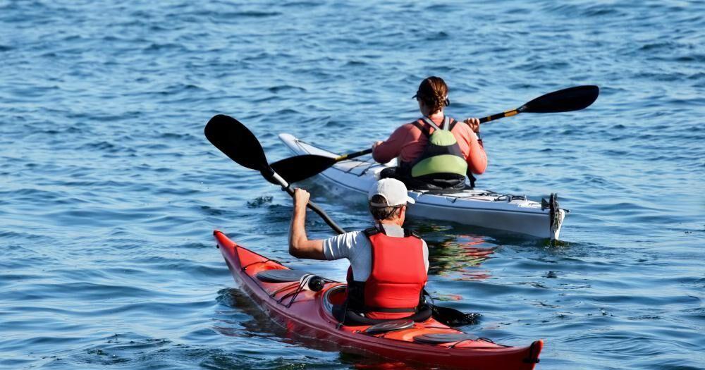 Fool Hollow Lake re-opened for boats, kayaks | News | wmicentral.com