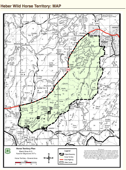 Forest Service confirms 10 horses show evidence of gunshots | Local ...