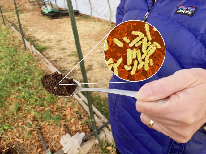 Persephone Days are coming: It’s inevitable. | Outdoors And Gardening ...