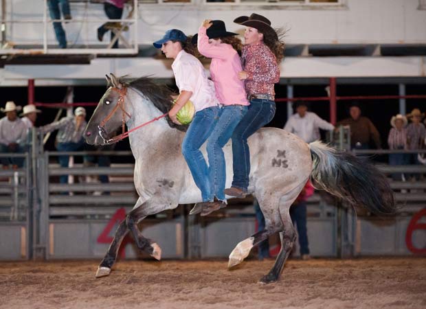Snowflake Rodeo 2011 | Multimedia | wmicentral.com