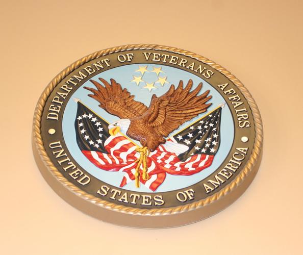 Home-based program goes mobile to serve veterans | Latest News ...