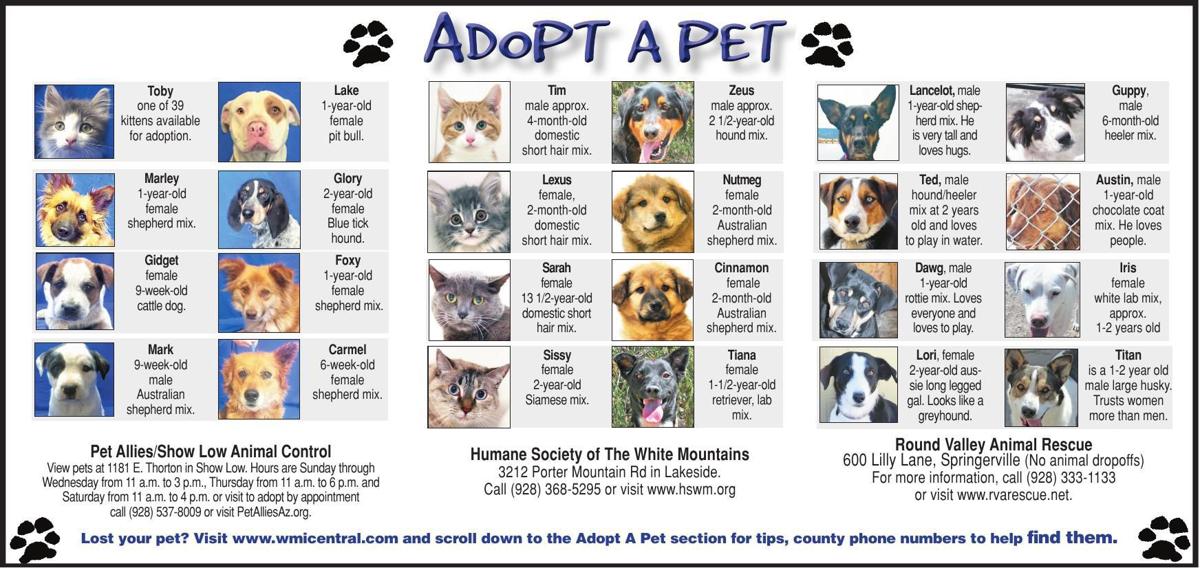 Adopt a Pet | Adopt a Pet | wmicentral.com