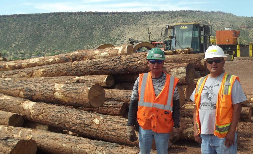 Forest industry spotlight: Tribal timber mill running once again ...